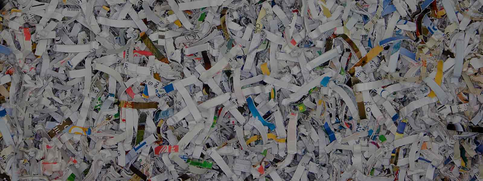 O Bee Credit Union - The Original Credit Union of the Olympia Brewery ...