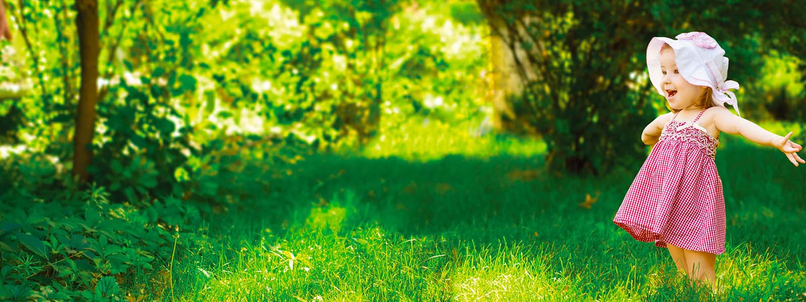 O Bee Credit Union - Pub Style Banking "The Original Credit Union of ...